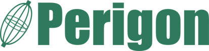 Perigon | Cement Support Tool (CST) for off-bottom (balanced) cement plugs